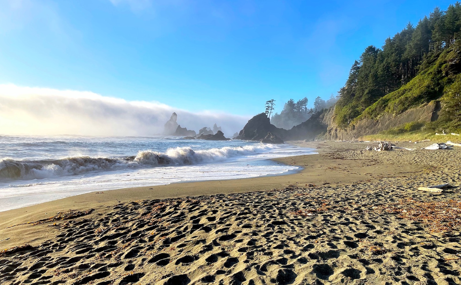 Visiting Shi Shi Beach in Olympic National Park - Language Imperfect